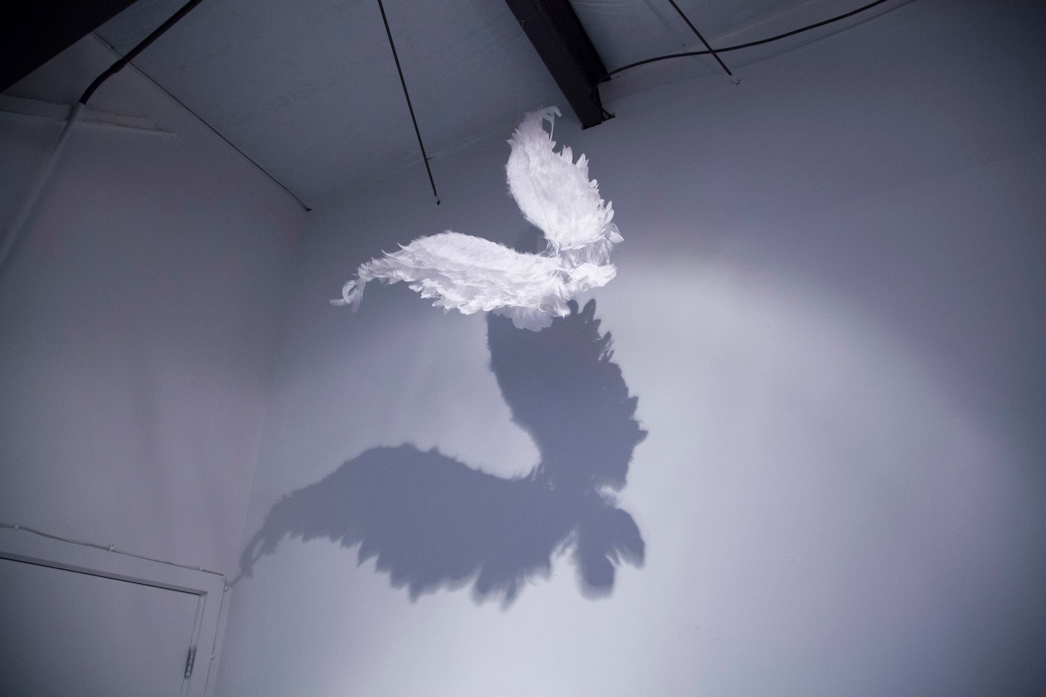 Things with Wings | INCA